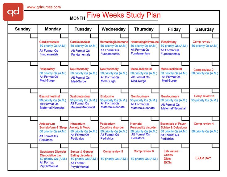 Npte Study Schedule Template